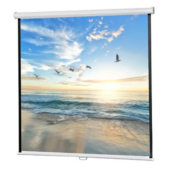 Projector Screen 120 Inch Electric Motorised 6x8 Feet 4:3MW Speed-X ...